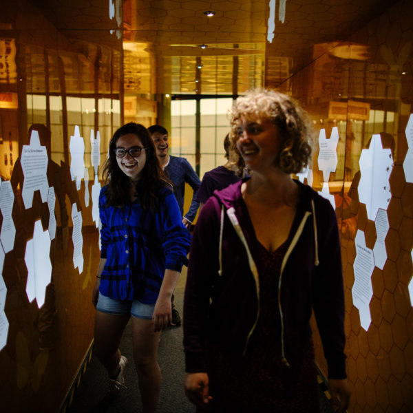 Bug Works - Buffalo Museum of Science