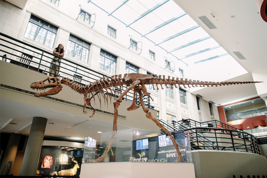 Plan a Visit - Buffalo Museum of Science