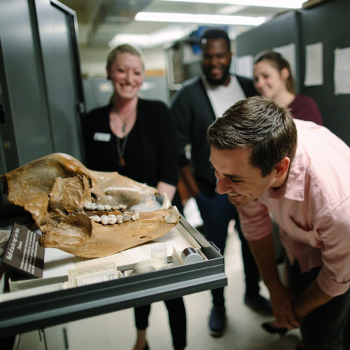 Adult Programs - Buffalo Museum of Science