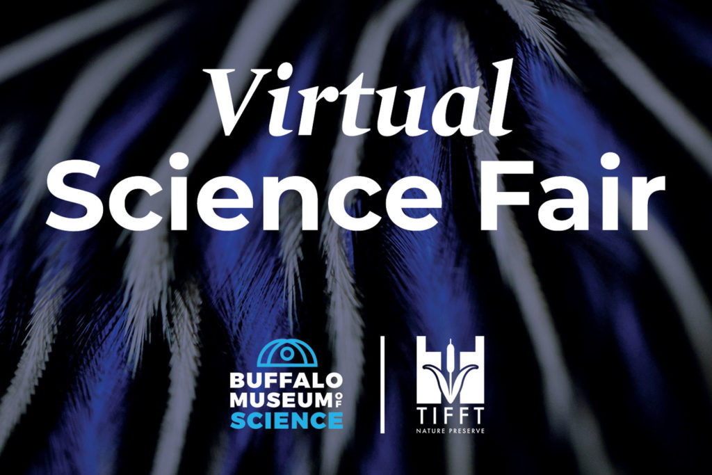 Virtual Science Fair - Buffalo Museum of Science