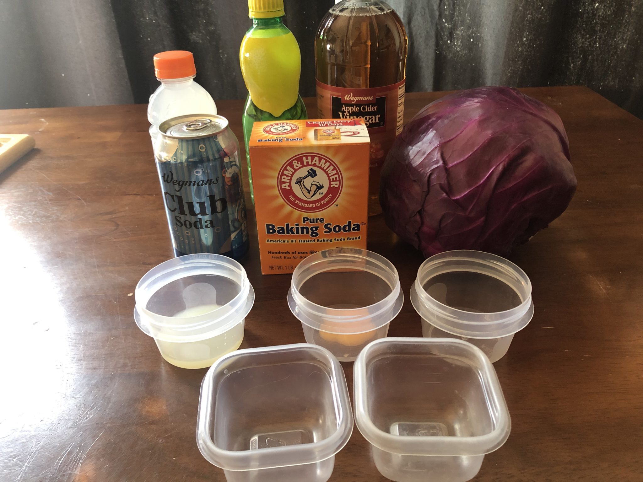 Cabbage Chemistry - Buffalo Museum of Science