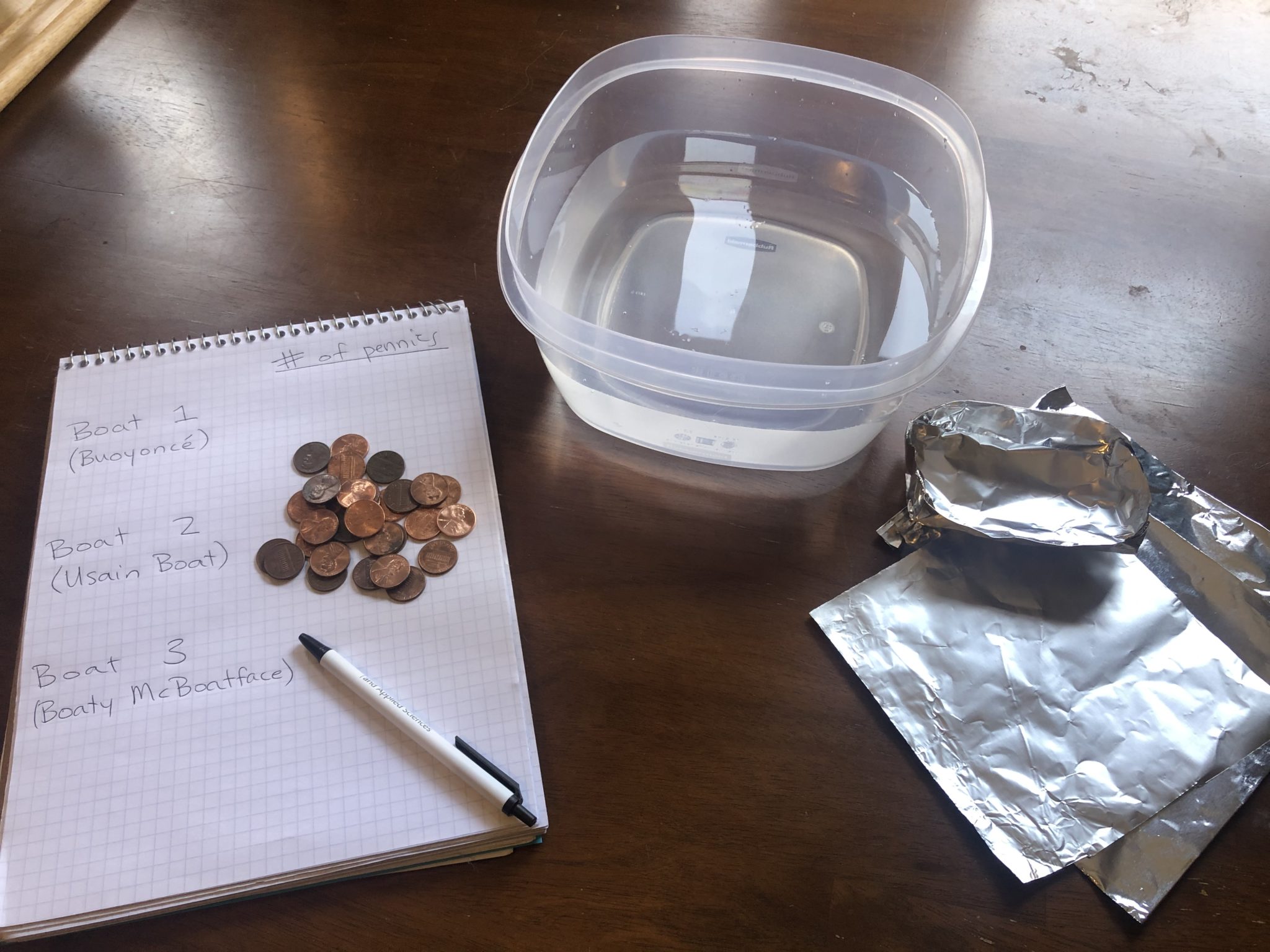 Float Your Boat - Buffalo Museum of Science