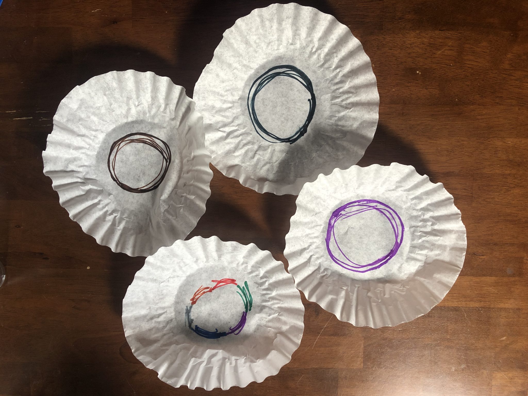 Chromatography Art - Buffalo Museum of Science