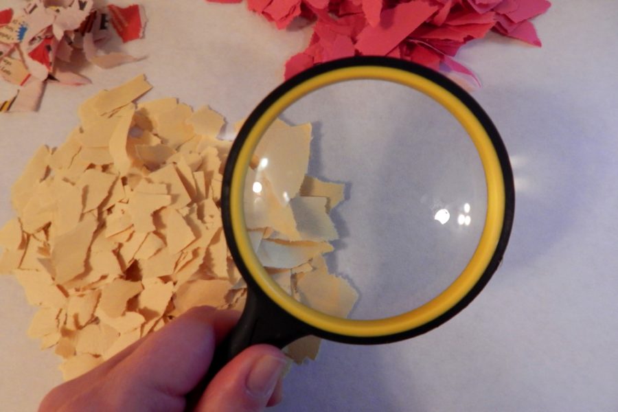 Paper Making Science - Buffalo Museum of Science