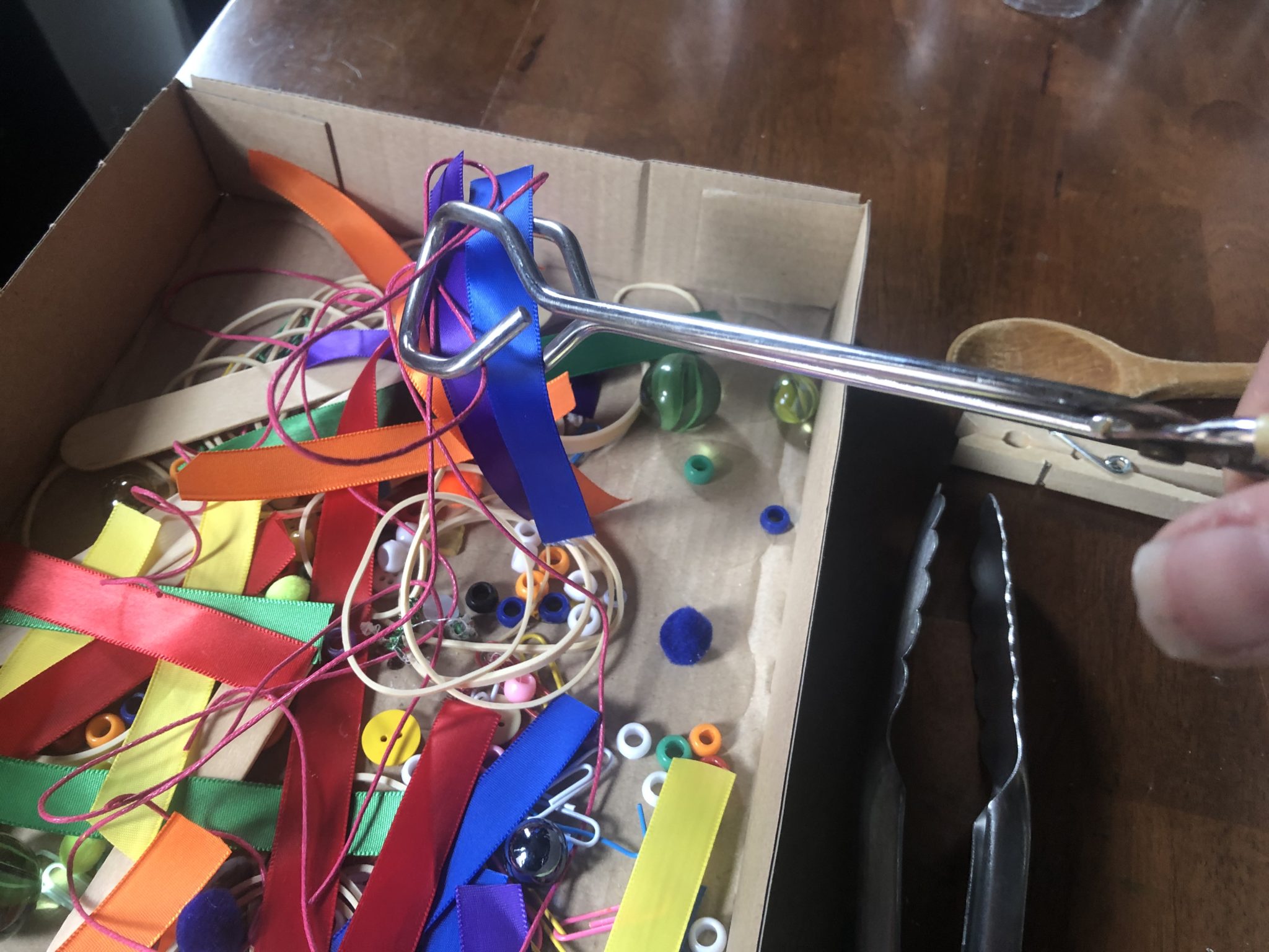 Bird Beaks - Buffalo Museum of Science