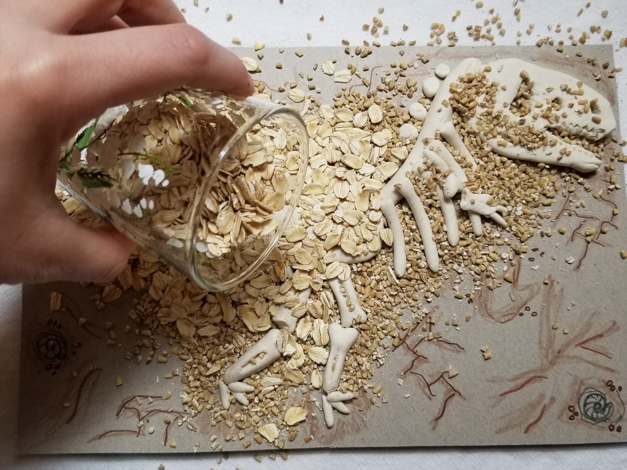 Fossil Finds - Buffalo Museum of Science