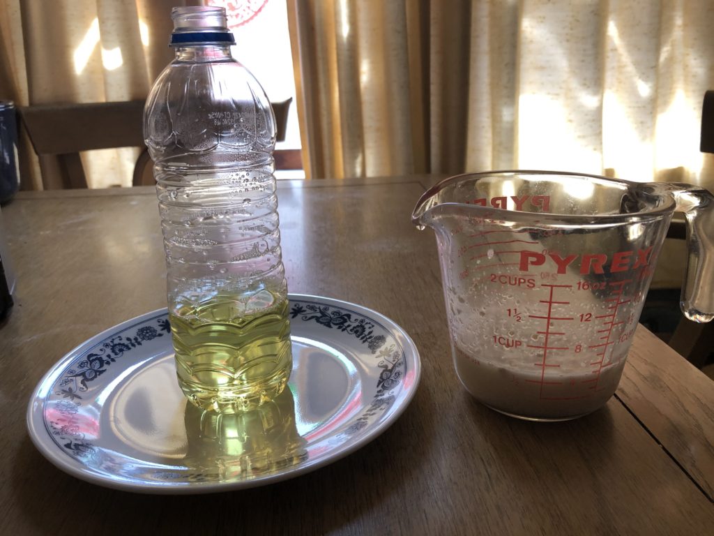 Elephant Toothpaste - Buffalo Museum of Science