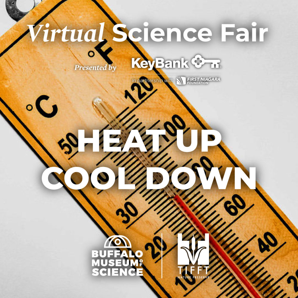 Virtual Science Fair Activities Archive - Buffalo Museum of Science