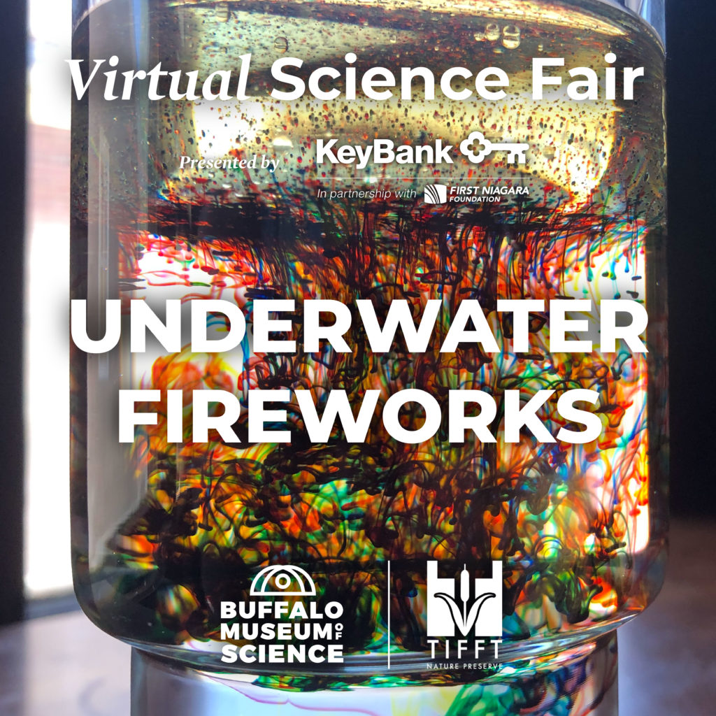 Virtual Science Fair Activities Archive - Buffalo Museum of Science