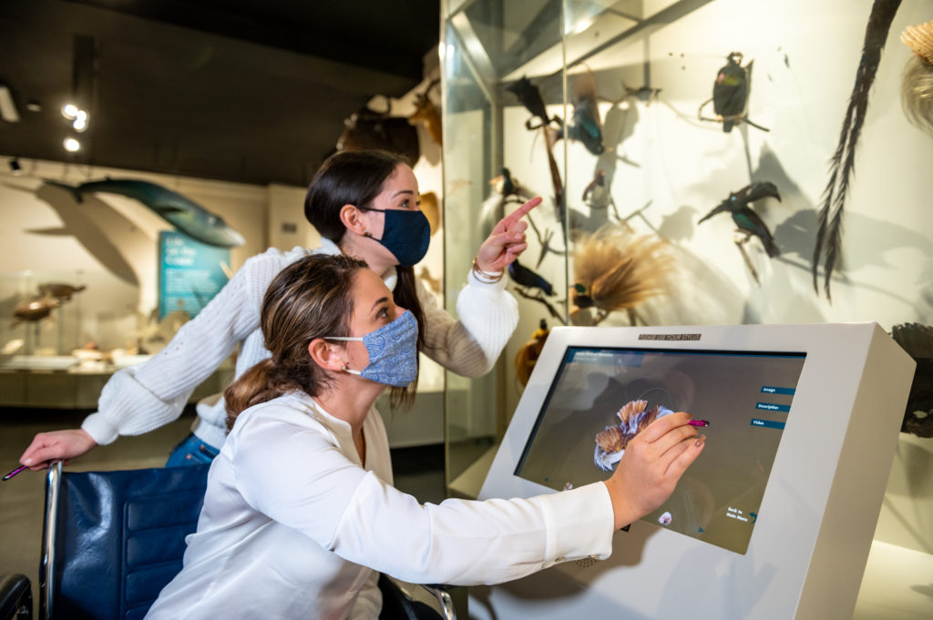 Sixteen Stories - Buffalo Museum of Science