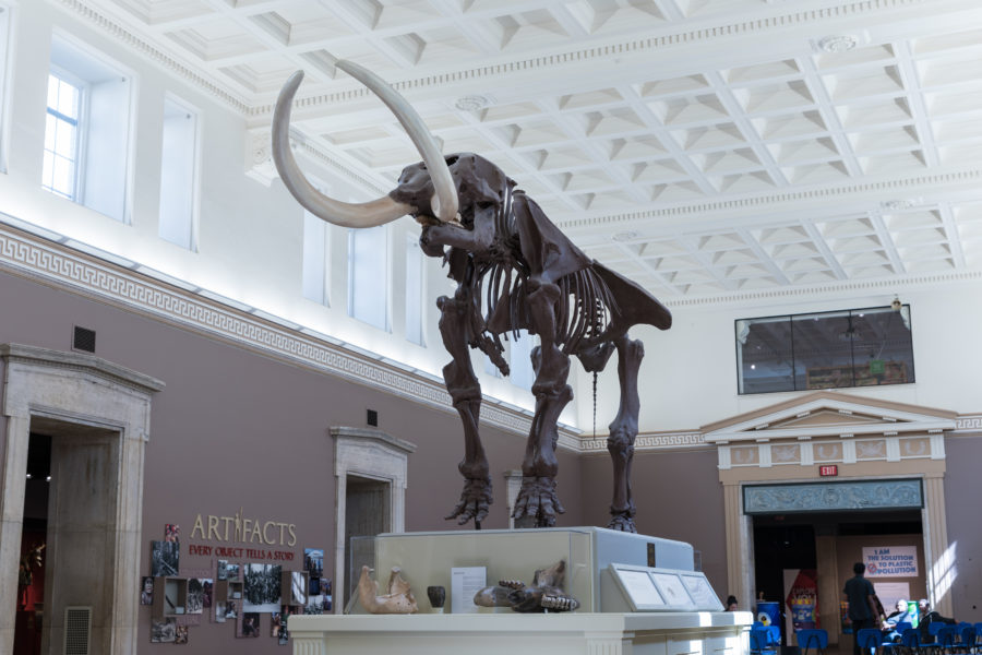 Sixteen Stories - Buffalo Museum of Science