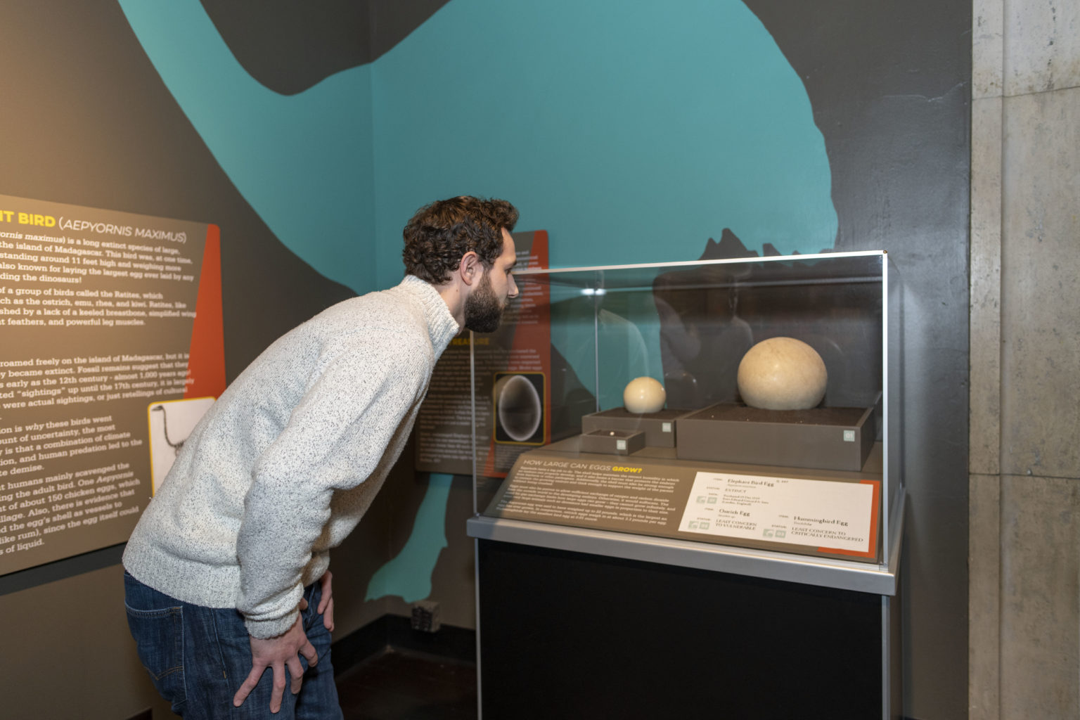 Sixteen Stories - Buffalo Museum of Science