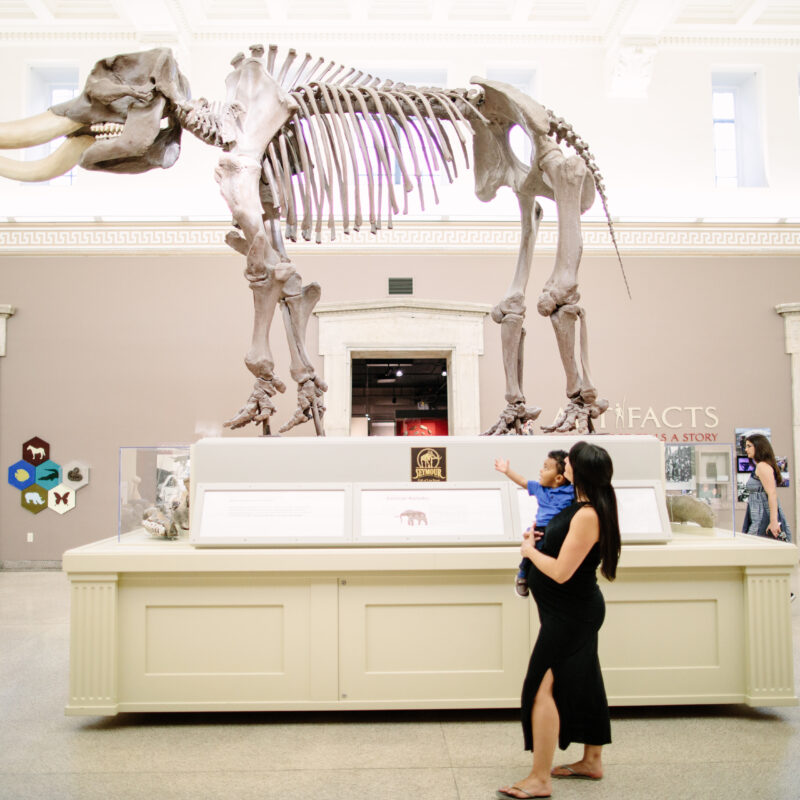 Membership - Buffalo Museum of Science