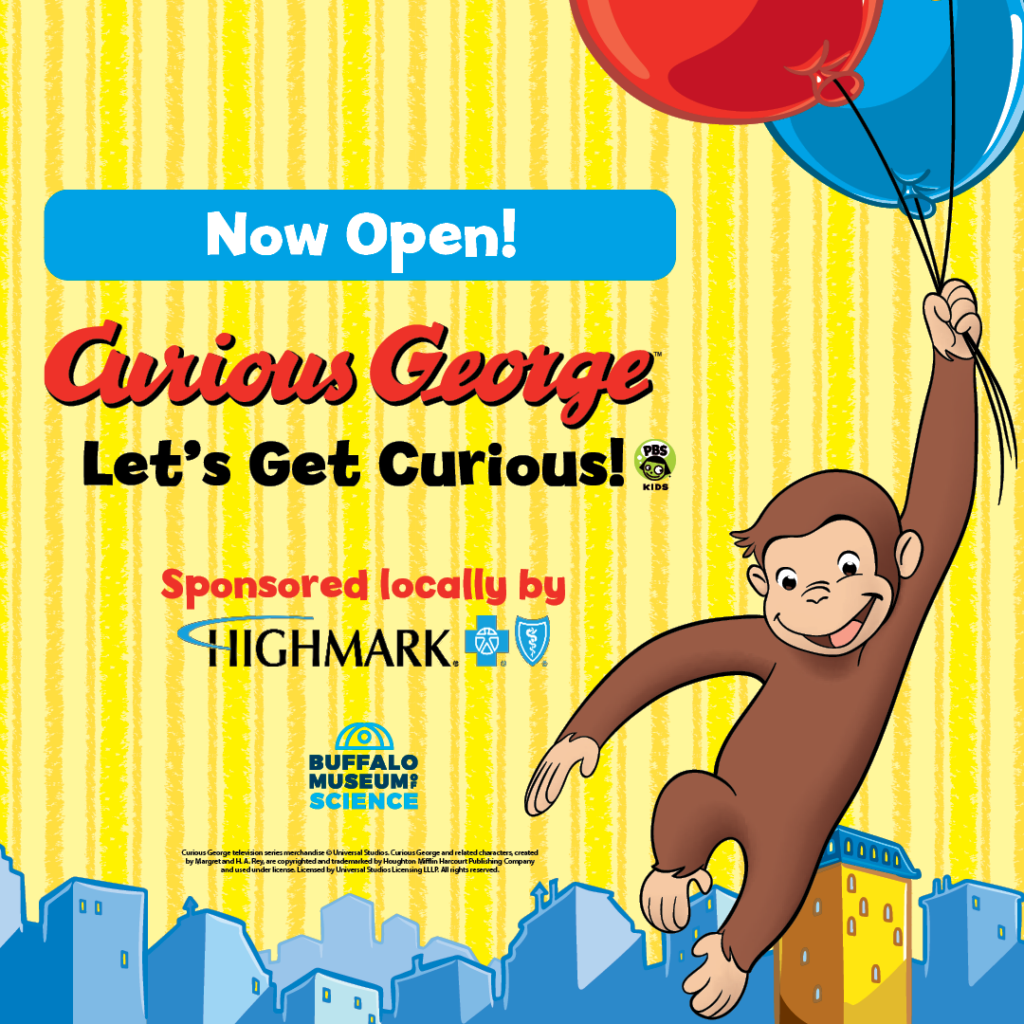 Buffalo Museum of Science - Find Why