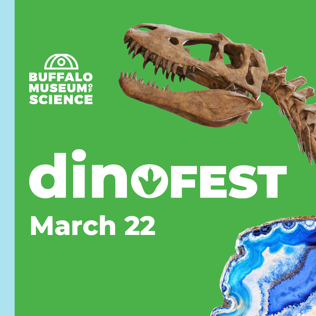 Buffalo Museum of Science - Find Why